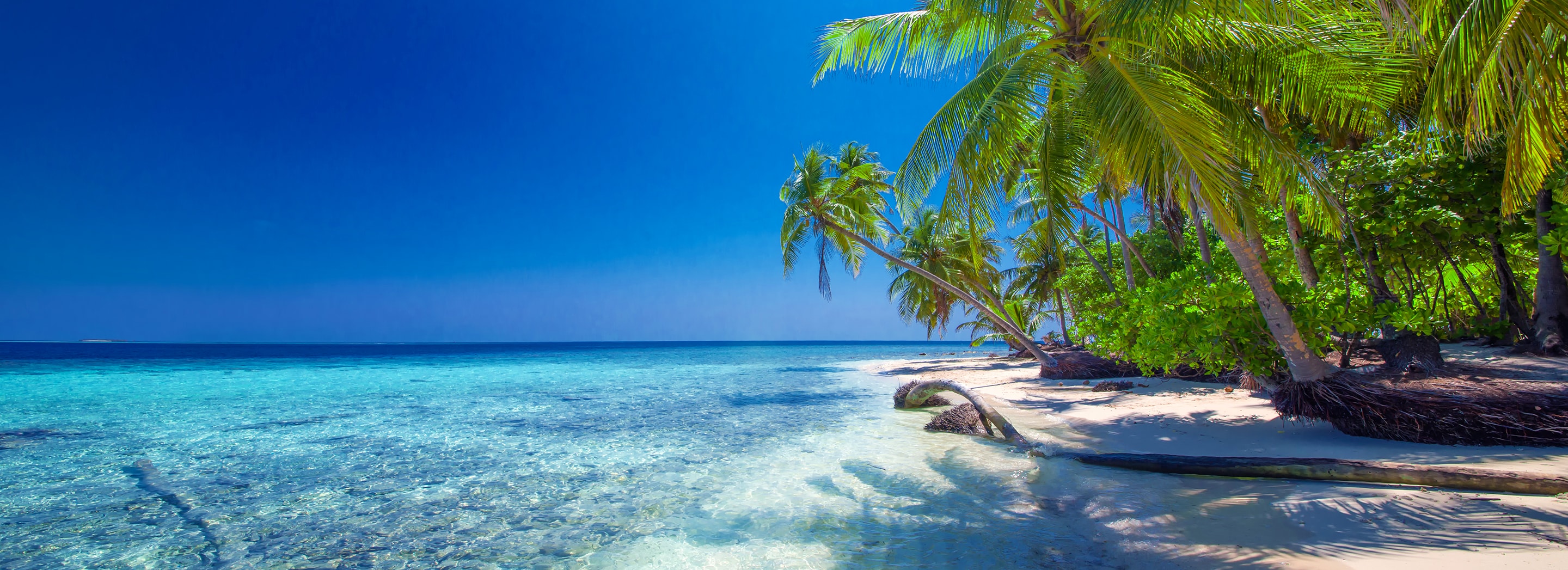 Crociera ai Caraibi: prezzi e offerte vacanze Antille | Costa Crociere