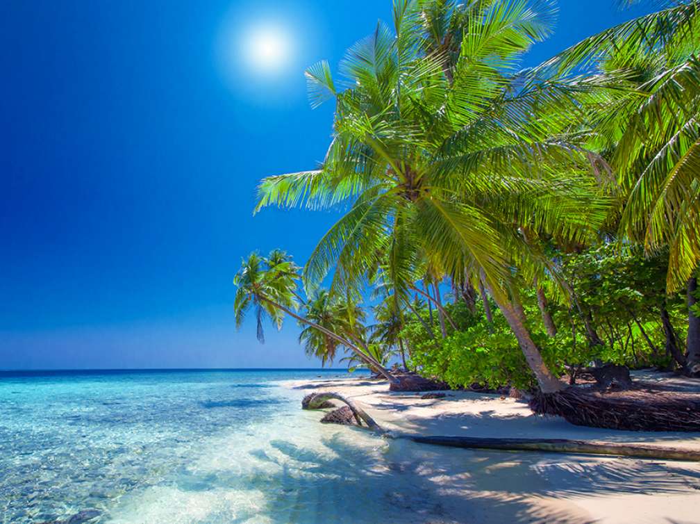 Crociere Transoceaniche: vacanze Oceano Atlantico | Costa Crociere