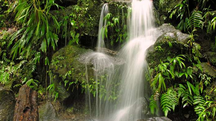 14 cose da vedere e fare sull'Isola Dominica | Costa Crociere