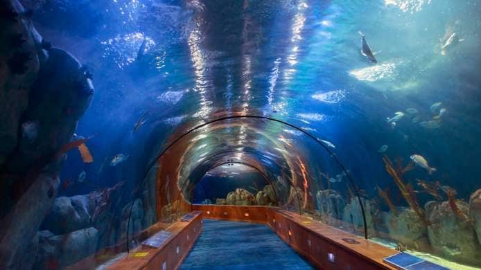 Cosa vedere a Valencia: 12 tappe imperdibili | Costa Crociere