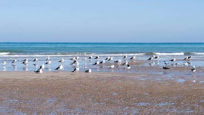 Le spiagge più belle a Muscat | Costa Crociere