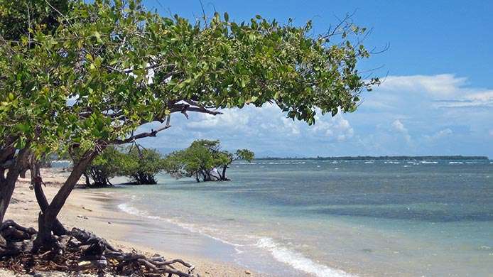 Spiagge di Porto Rico: le 30 da vedere | Costa Crociere