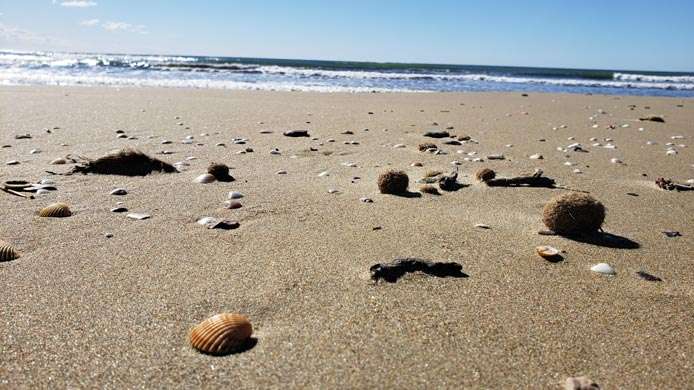 Le 15 spiagge più belle di Roma e dintorni | Costa Crociere