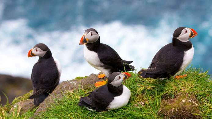 Cosa vedere alle Isole Faroe | Costa Crociere