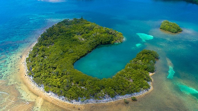 Scopri tutto sull'isola di Roatan in Honduras | C-Magazine