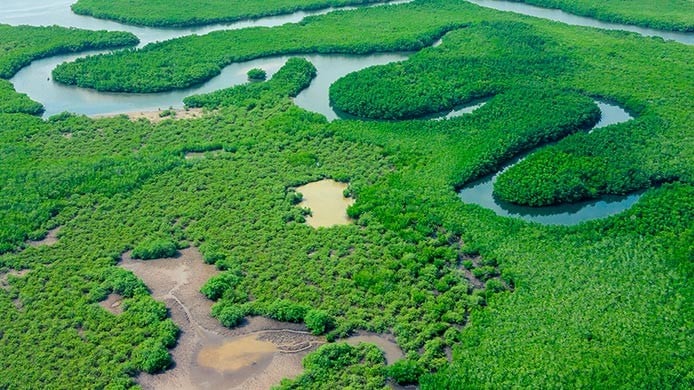 Mappa Del Mondo Fiume Amazzone