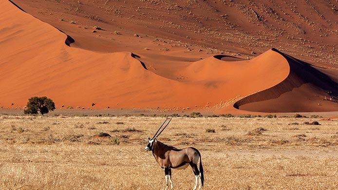 7 motivi per visitare il deserto della Namibia | C-Magazine