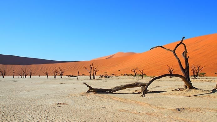7 motivi per visitare il deserto della Namibia | C-Magazine