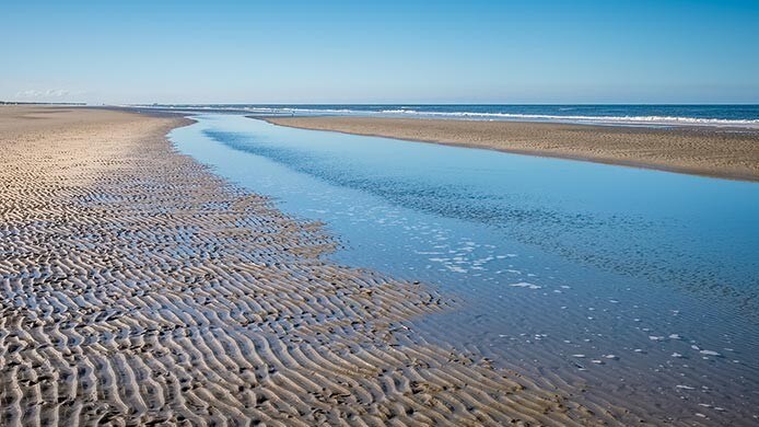 Wadden Sea: parco naturale del Nord Europa | C-Magazine