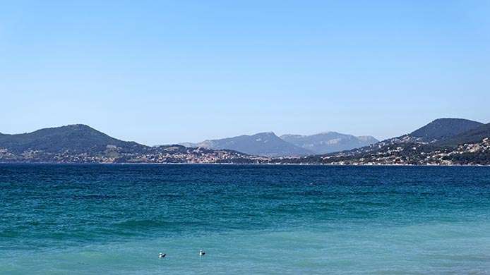 Dove vedere le balene in Italia - Whale Watching | C-Magazine