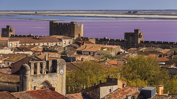 Selvaggia e… rosa! Benvenuti nella Camargue