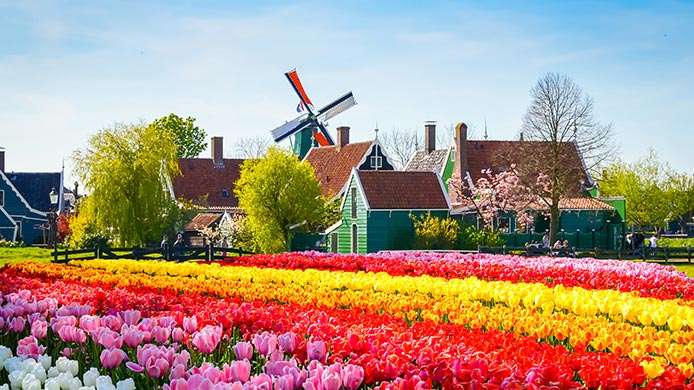 10 Cose e luoghi da vedere in Olanda | Costa Crociere
