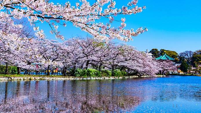 Le 10 cose più belle da vedere a Tokyo | Costa Crociere