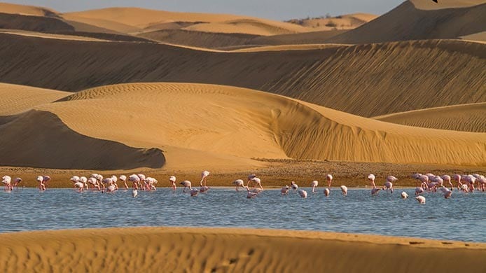 Guida a Walvis Bay in Namibia | C-Magazine