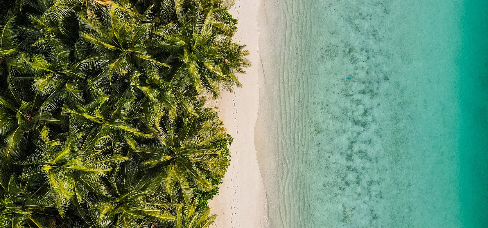 Crociera ai Caraibi: prezzi e offerte vacanze Antille | Costa Crociere