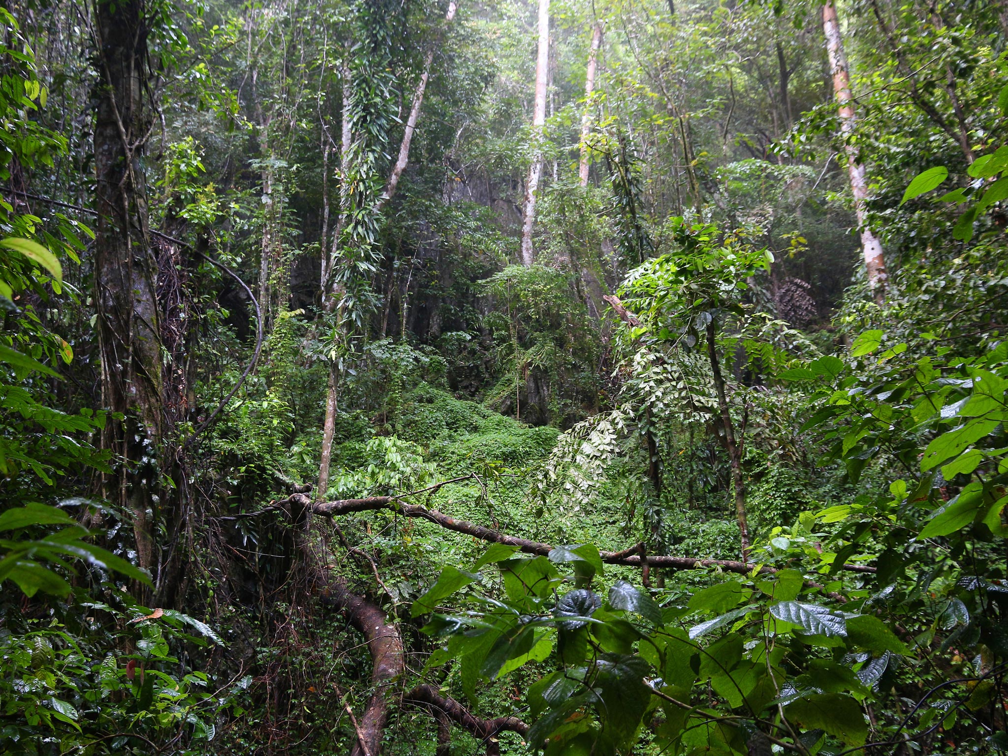 Crociere Subic Bay: itinerari e offerte | Costa Crociere