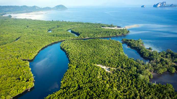 Il progetto Mapping Ocean Wealth: sopravvivenza, valore economico e ...